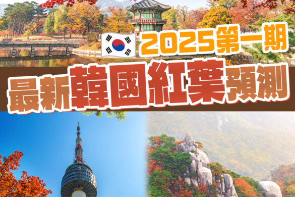 【釜山通行證攻略2025】24或48小時、BIG3或BIG5 通行證！免費入超過40個景點、觀光巴士 - Flyday.hk 全港最多機票優惠｜酒店套票｜旅遊平價資訊