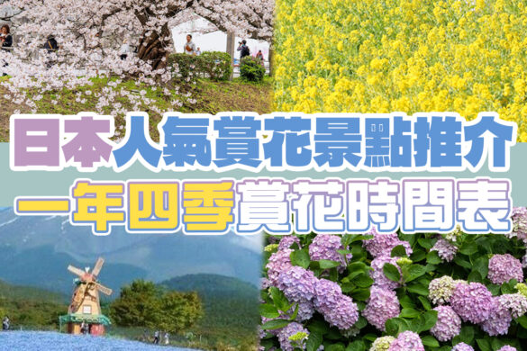 ChiikawaPark攻略｜日本東京Chiikawa Park即將開幕！即看設施票價及預約方法 - Flyday.hk