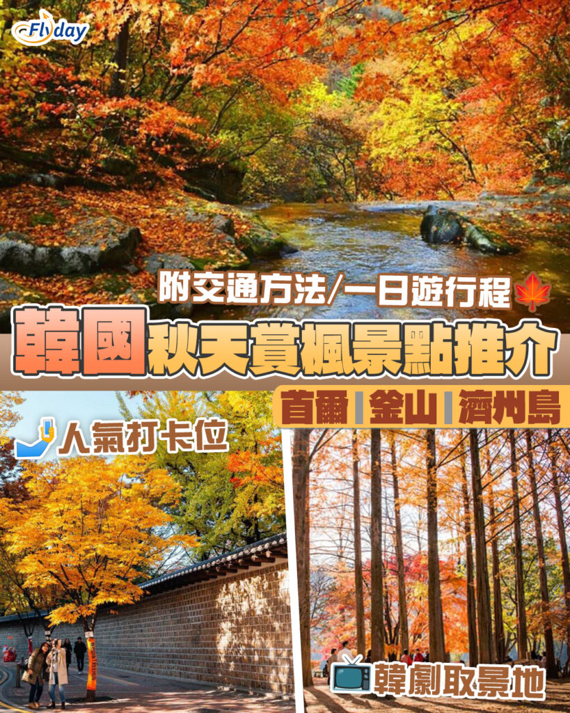韓國賞楓景點2025｜6大韓國紅葉景點推介｜首爾釜山濟州島 - Flyday.hk